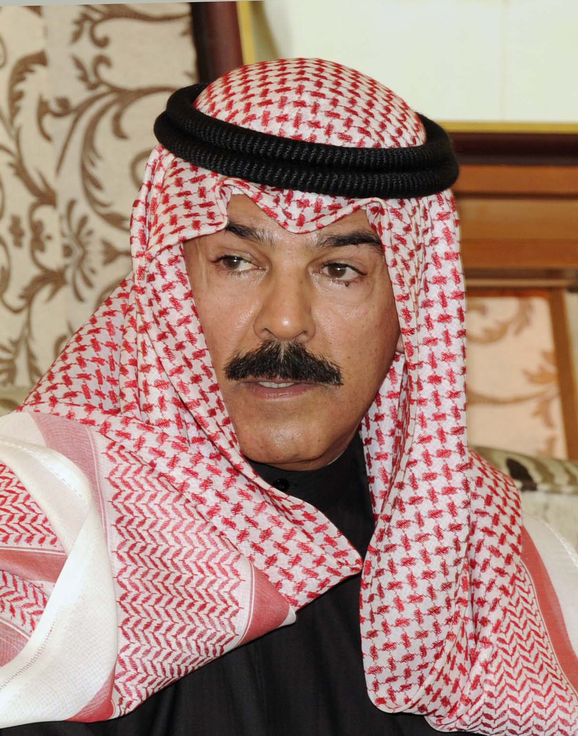 KUNA : Interior Minister stops traffic violator, orders his deportation