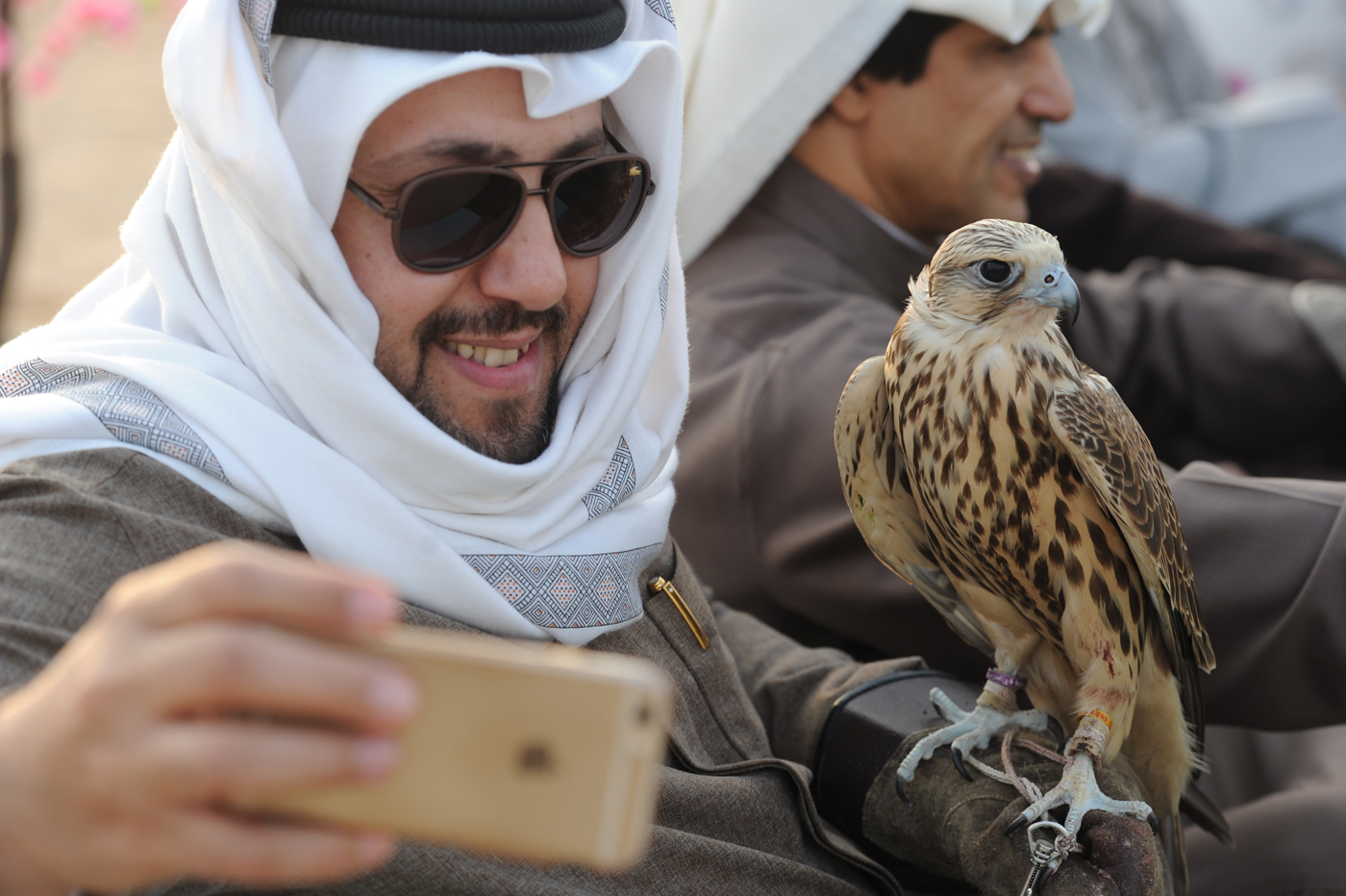 KUNA : Impressive performance for Kuwaiti falcon club in Gulf heritage ...