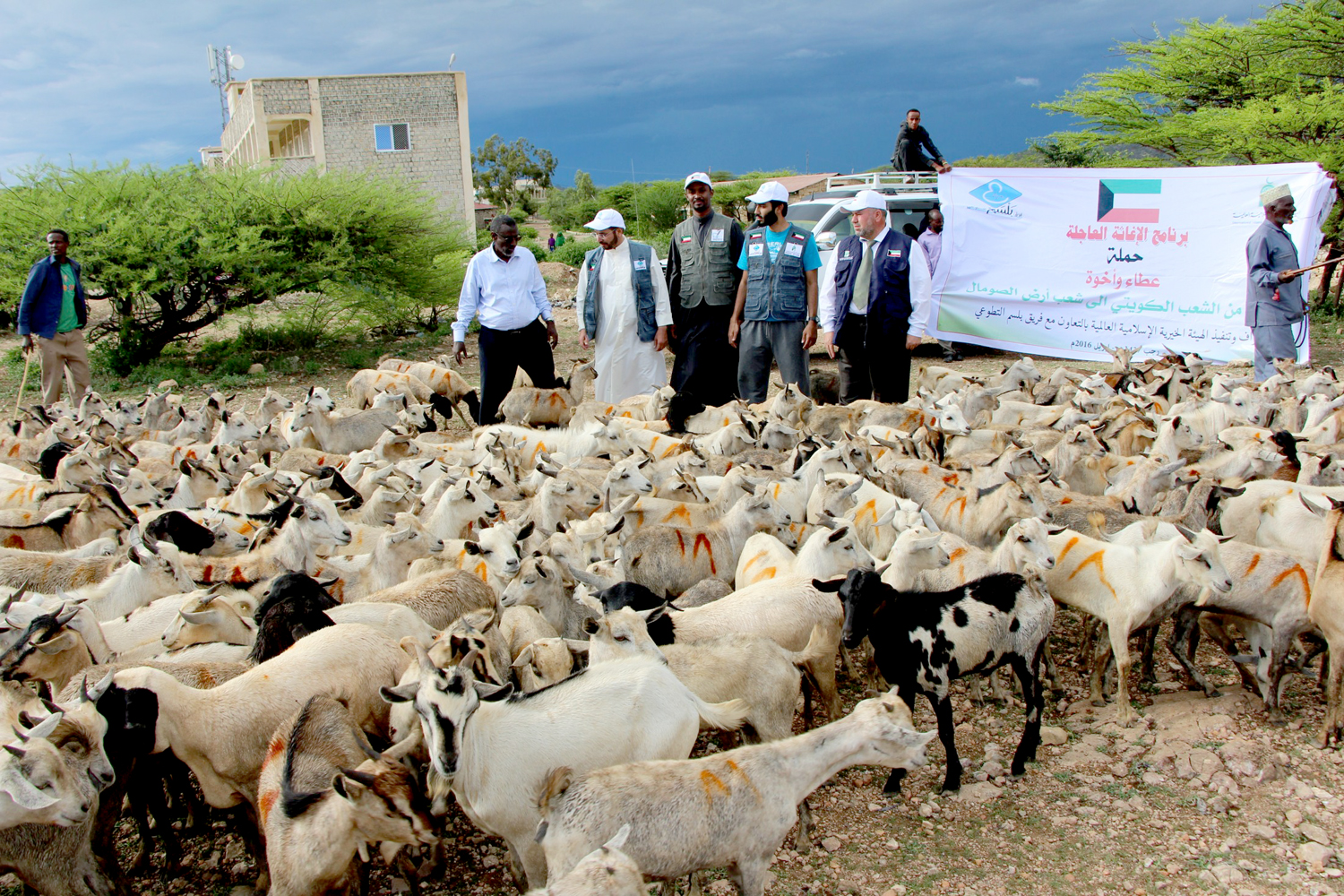 KUNA : Kuwait charities send emergency relief aid to drought-stricken ...