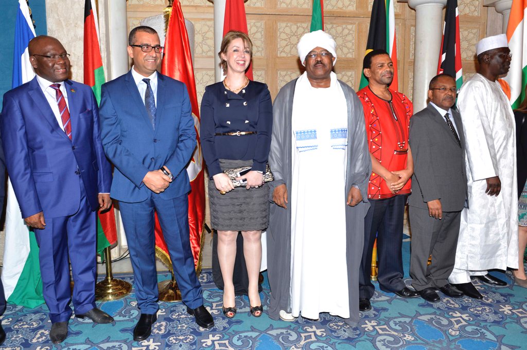 KUNA : Kuwaiti-African relations booming - official