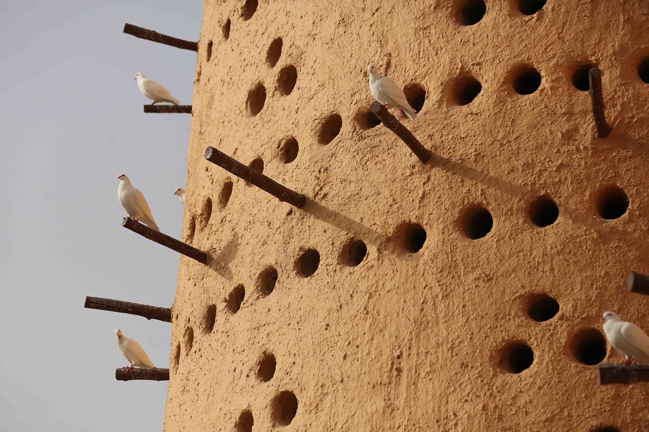 Pigeon Towers at Katara Cultural Village are of architectural beauty ...