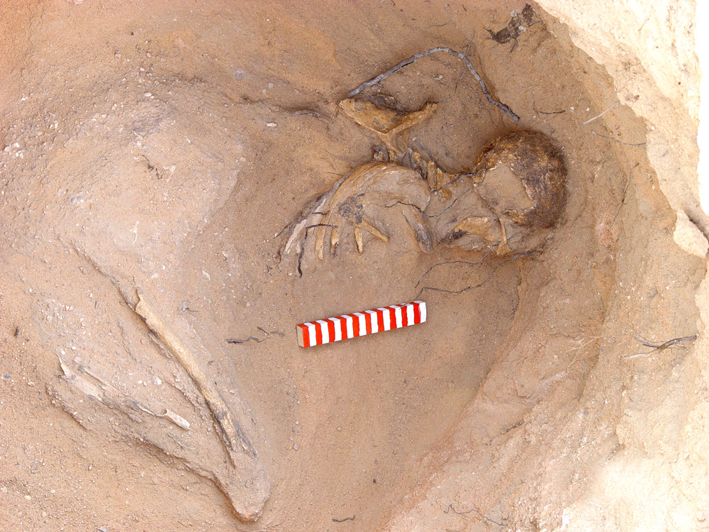 KUNA : Sabbiya ... Witness to ancient civilizations in Kuwait - History ...