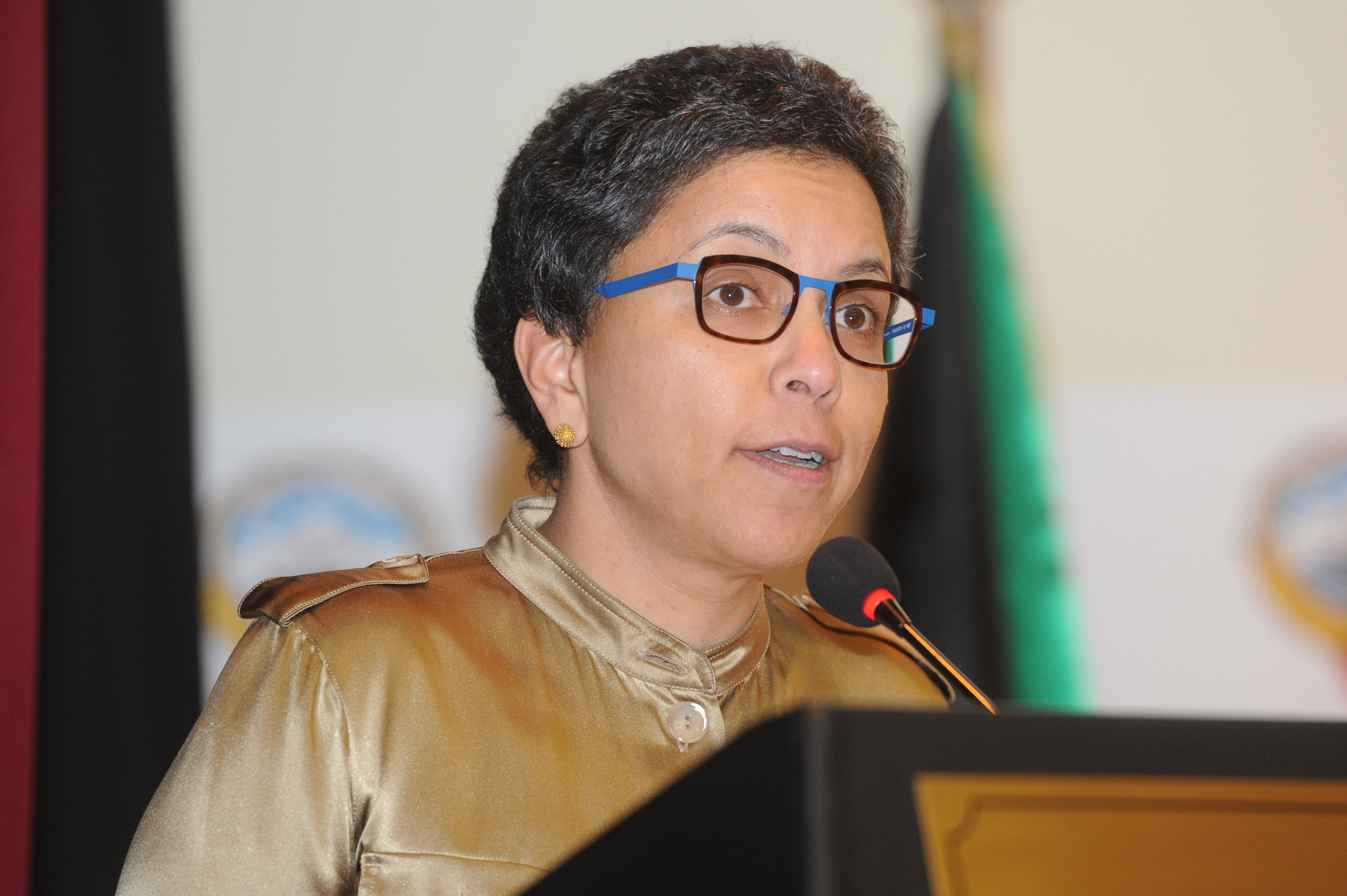 Assistant Foreign Minister for Americas Ambassador Reem Al-Khaled