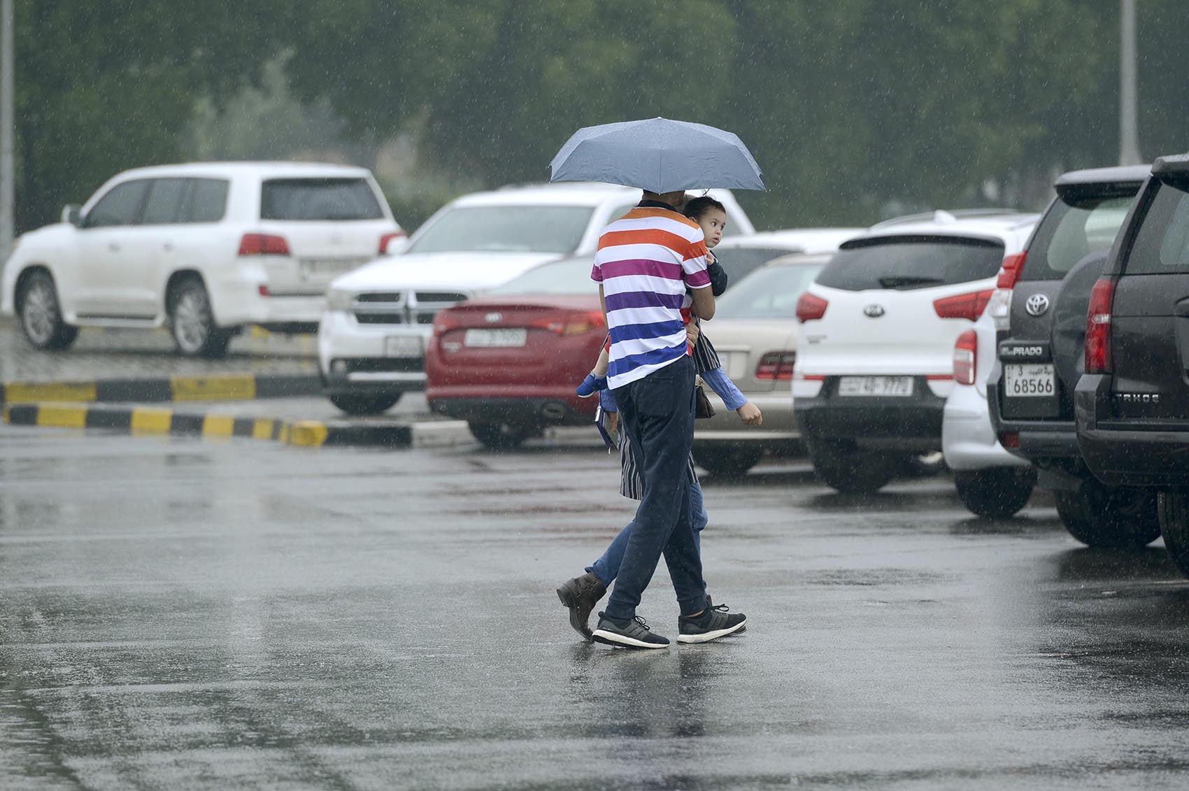 KUNA : Kuwait now .. Rain, low horizontal visibility - General - 14/11/2018