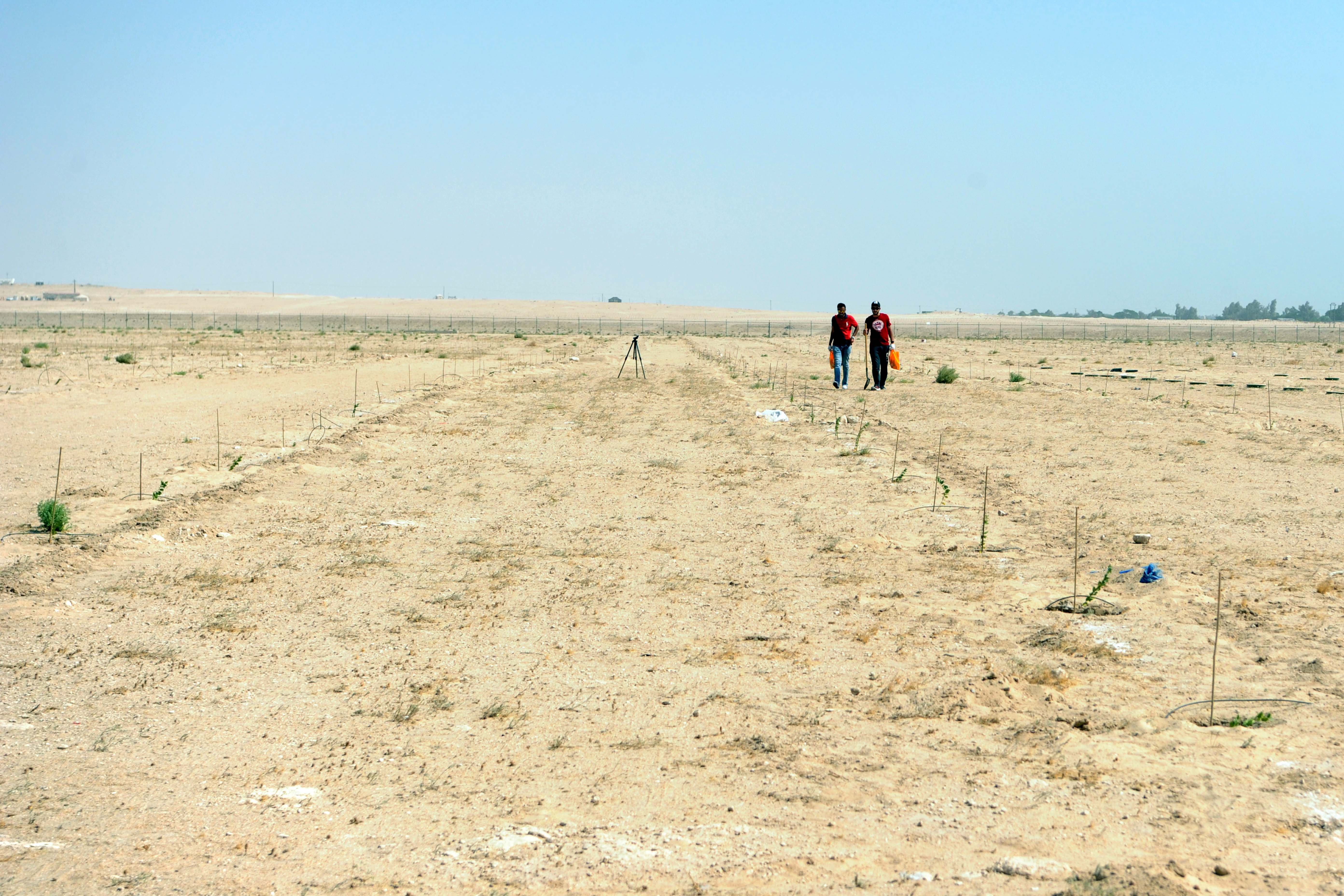KUNA : Kuwaiti volunteers eager to transform country through greening ...
