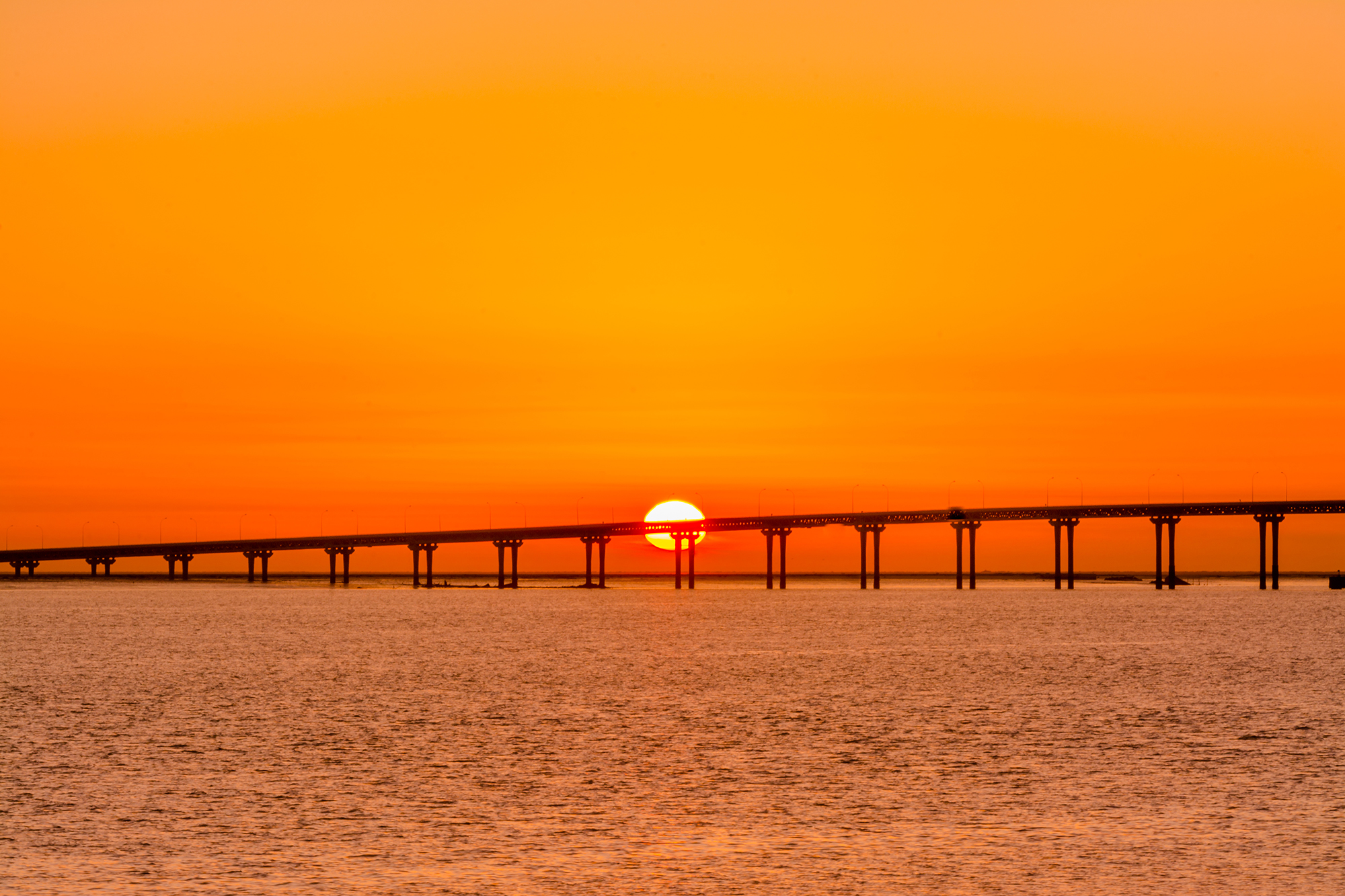 كونا : Photo Of The Day - عام - 29/02/2020