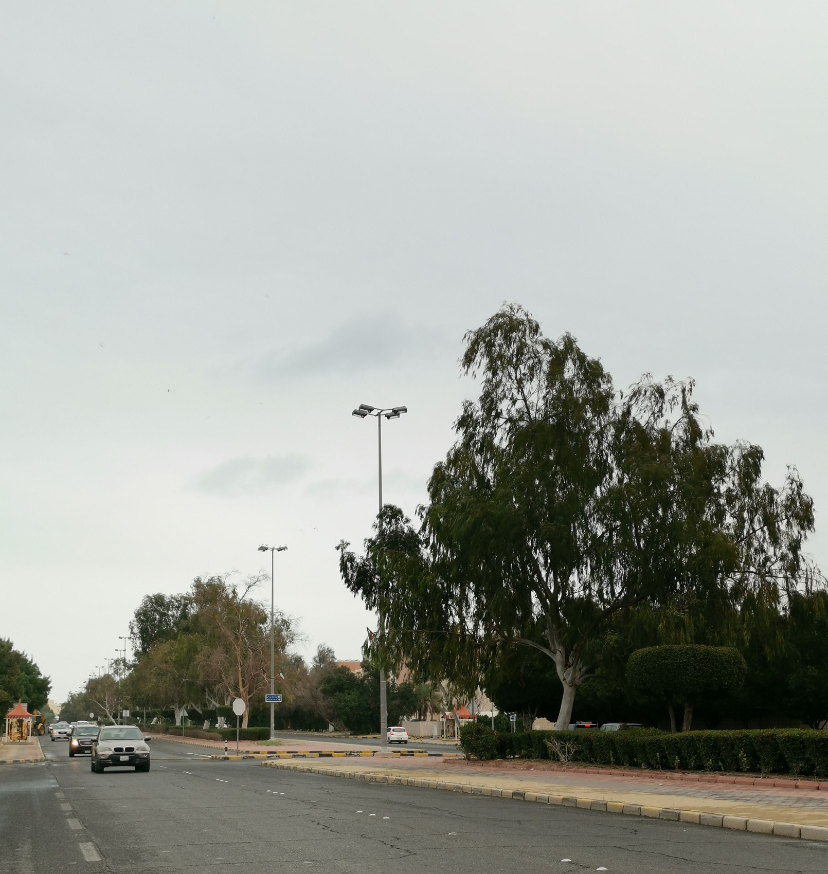 KUNA : Kuwait meteo center: heat drops, weather to improve coming days