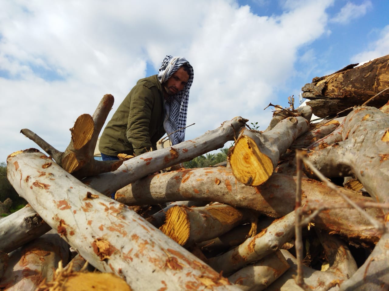 كونا : Gazans trade in wood during winter - الشؤون الإجتماعية - 27/01/2022