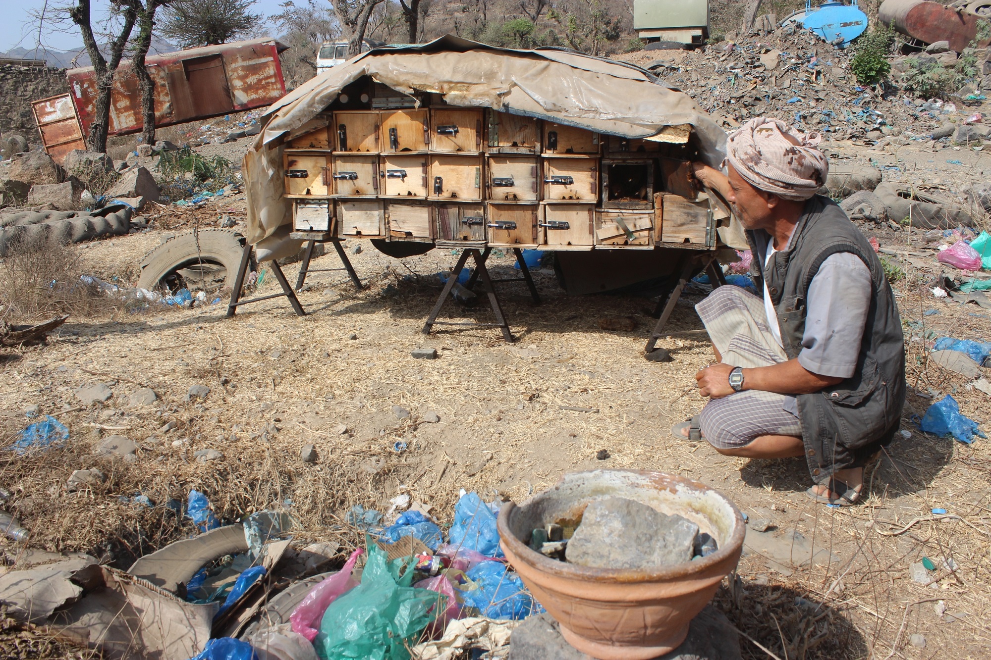 كونا : Beekeeping in Yemen.. A hereditary tradition - الزراعة والثروة ...
