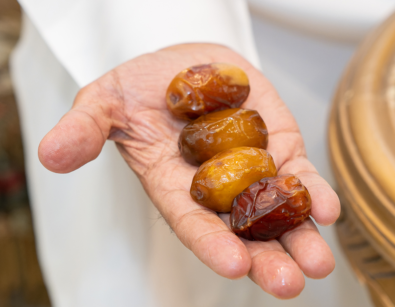 KUNA : (Haifi Kuwait)...unique palm tree puts Kuwait on int'l map ...