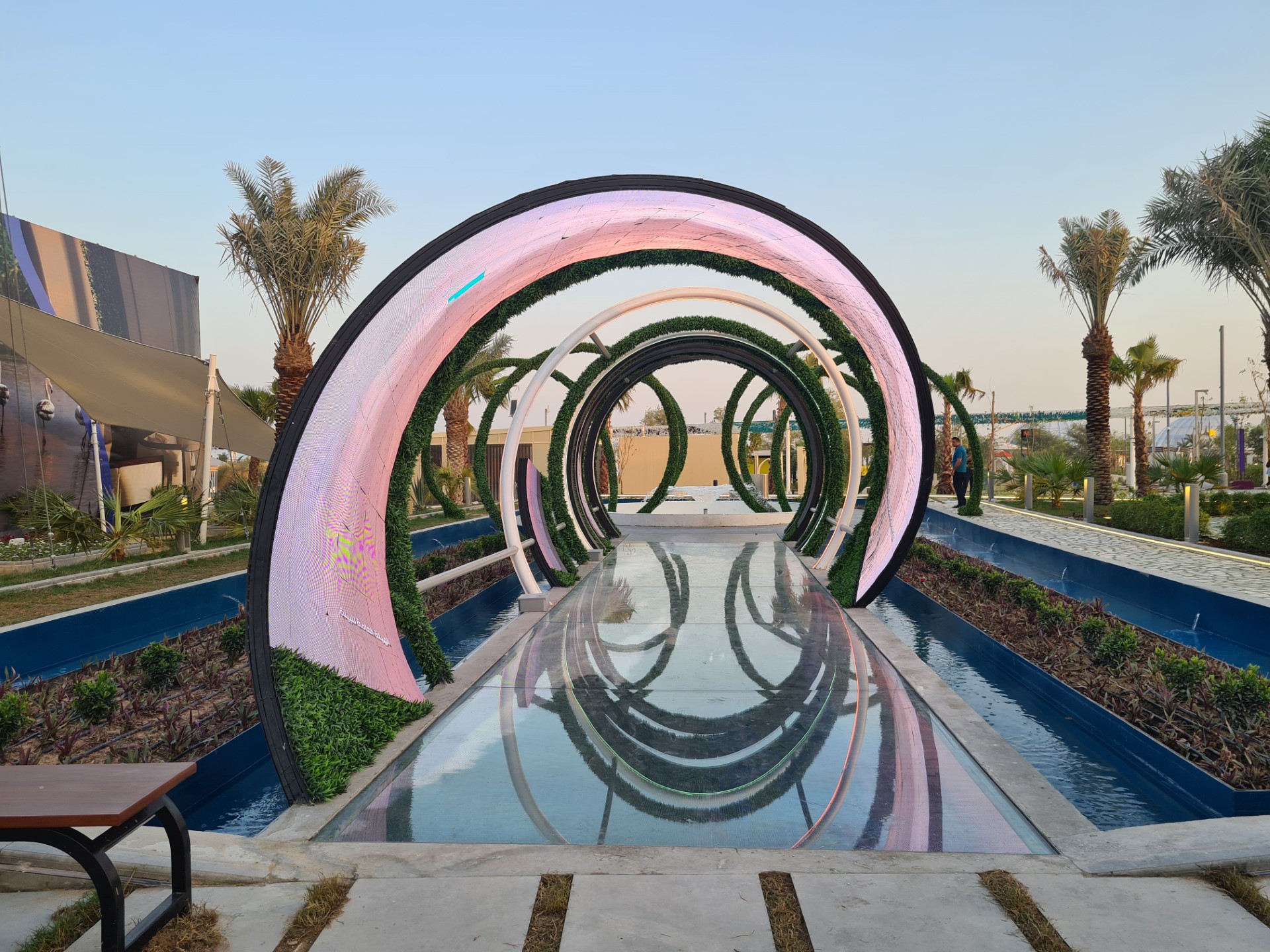 KUNA : Kuwait displays its national flower Al-Arfaj at Qatar's Expo ...