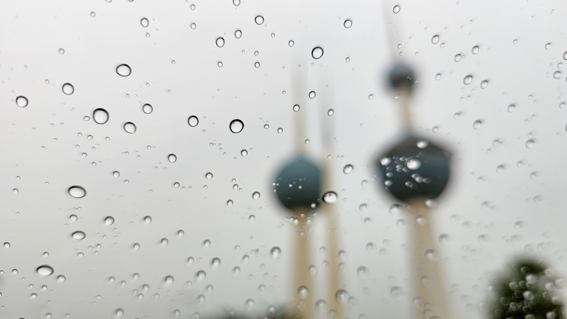 كونا : تباشير الغيث أرخت عباءتها فازدهت الأجواء بقطرات حيية منعشة ...