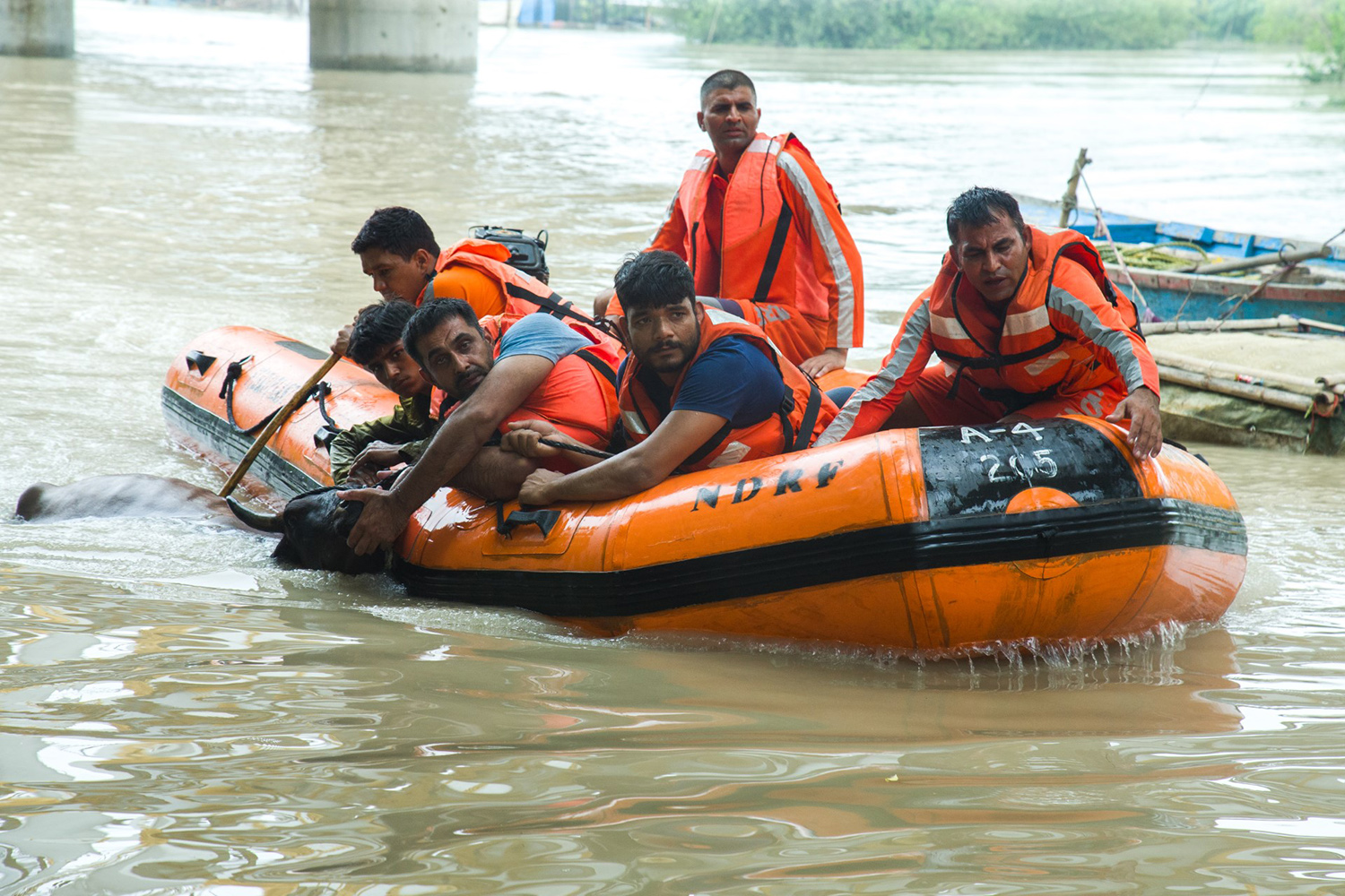 KUNA : Floods in Indian capital leaves life out of gear, hit the poor ...