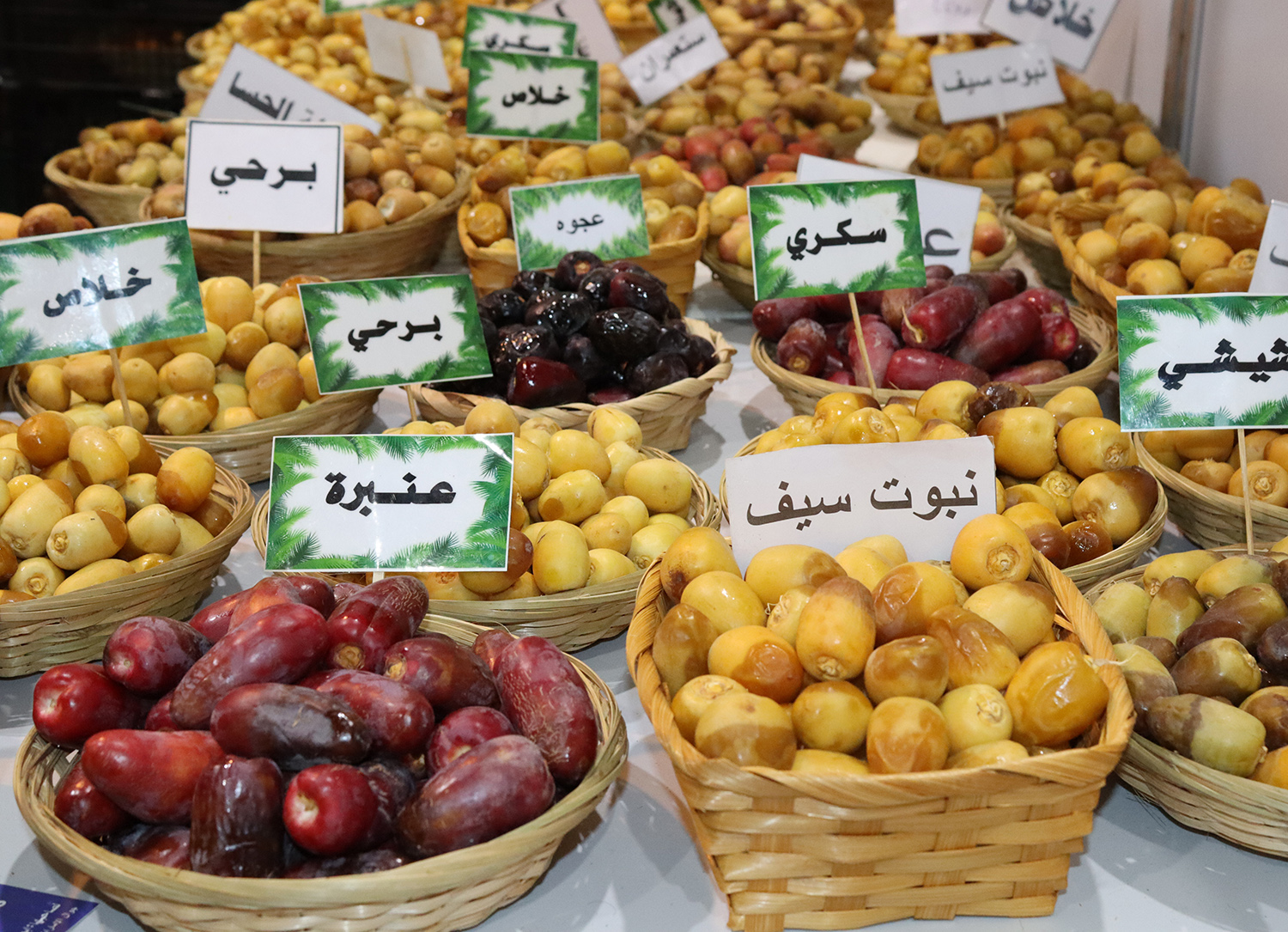 KUNA : Al-Thaid Date Festival reflects UAE's culture in preserving palm ...