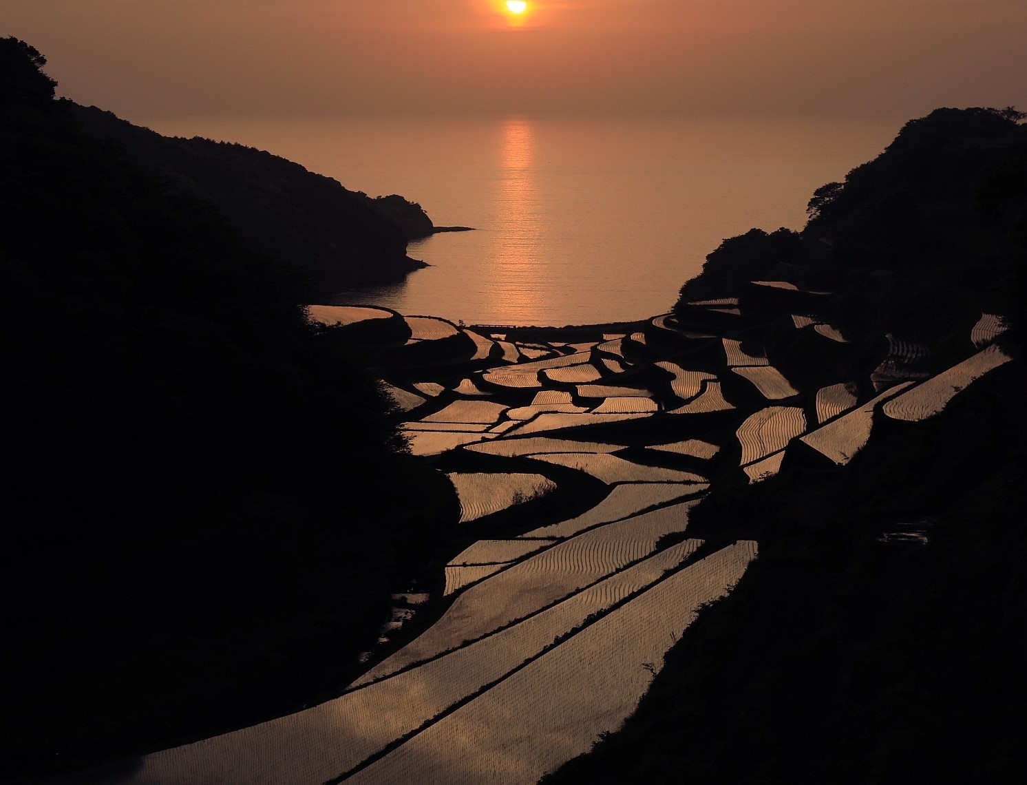 KUNA : Japan's age-old terraced rice fields, precious heritage ...