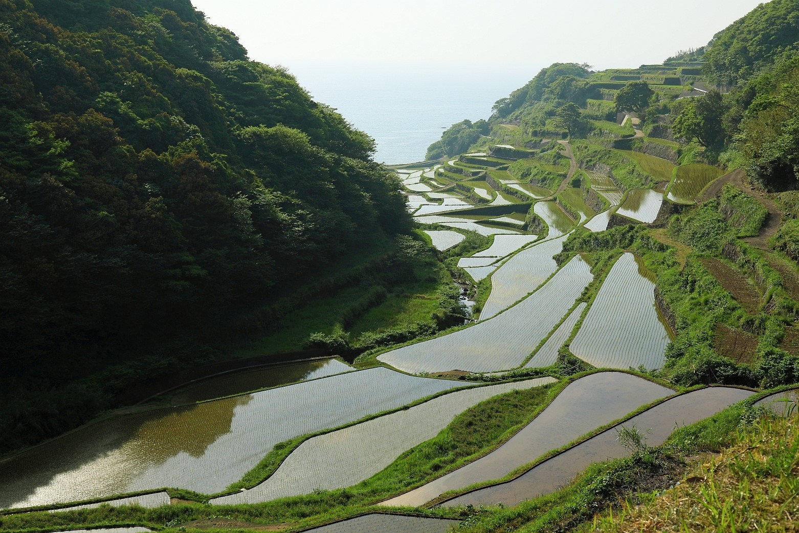 KUNA : Japan's age-old terraced rice fields, precious heritage ...