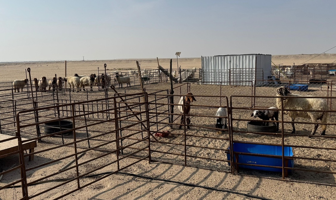 كونا : Kuwait environment authority penalizes environmentally ...