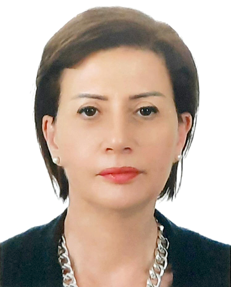 كونا : Lebanon purses arm control, ergonomic reforms compatible with ...